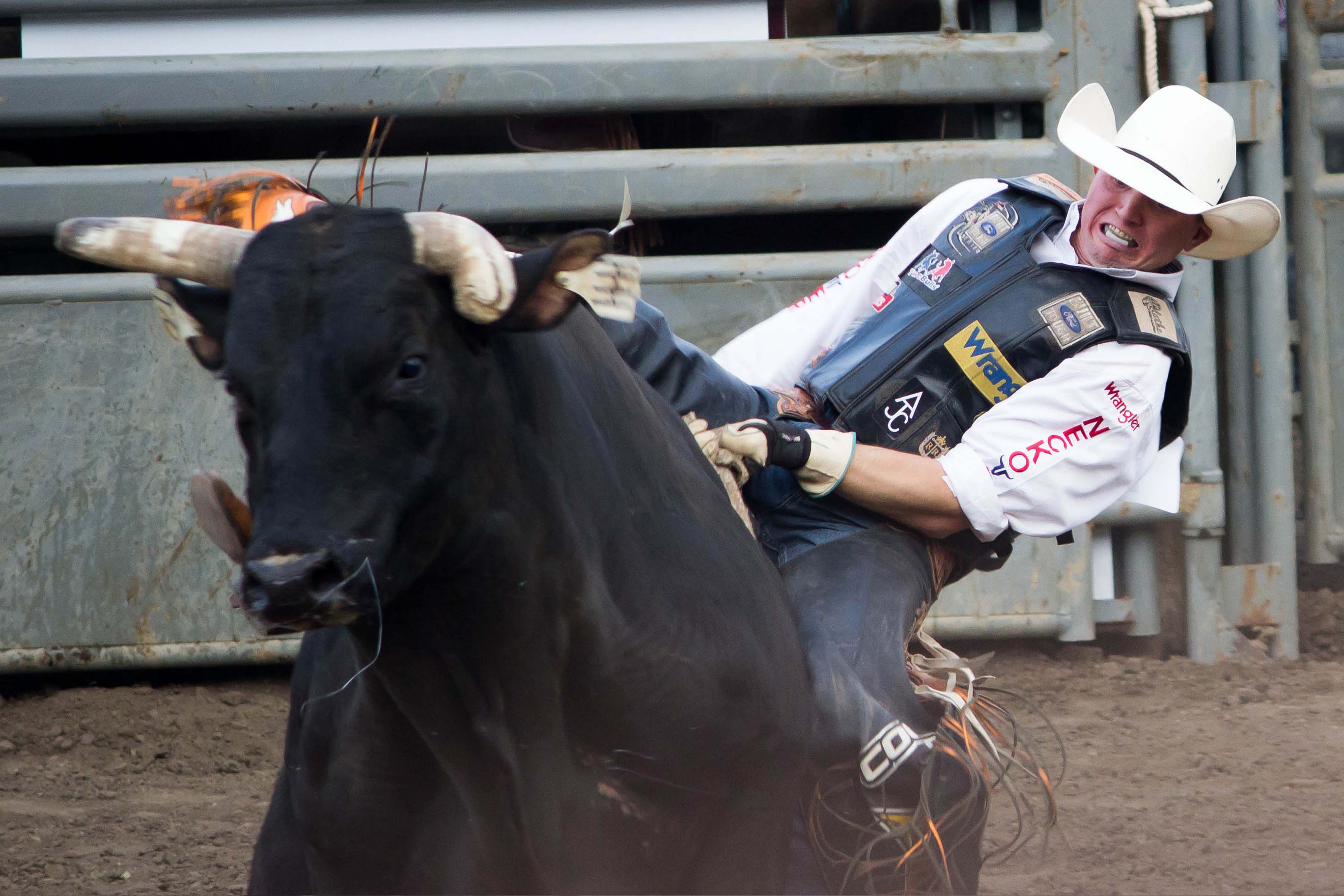California Bull Rider Shutterbug